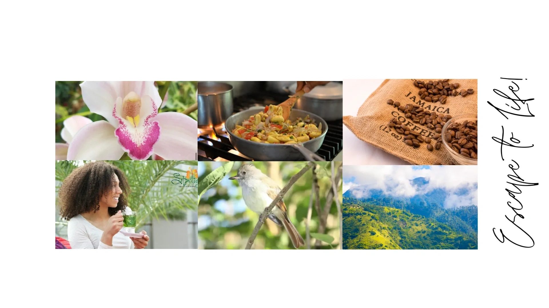 HOME [starlightchalethotel.com]