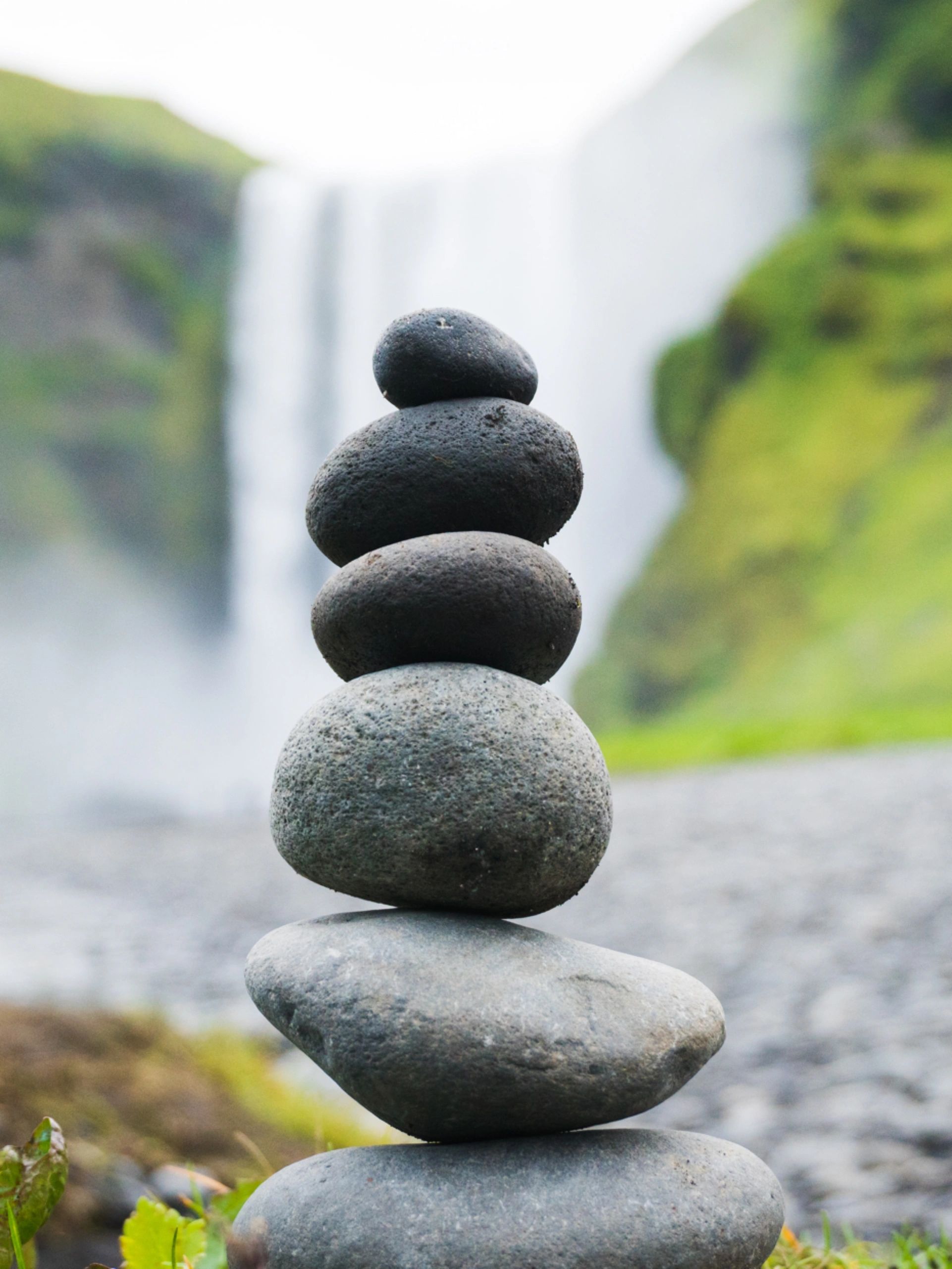 Hair Mineral Analysis