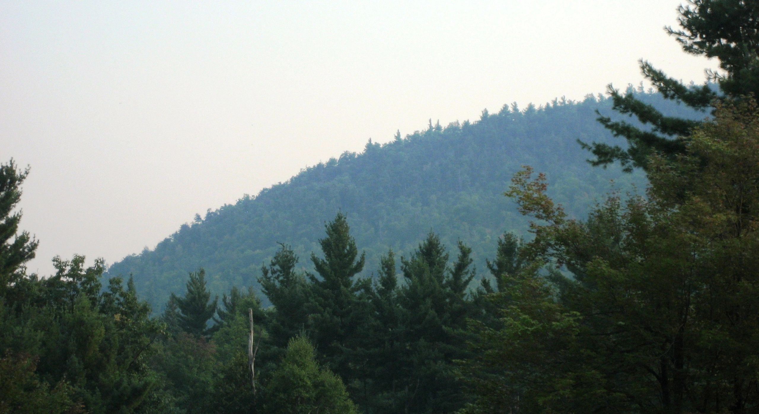 High Ridge Traditional Healing Arts