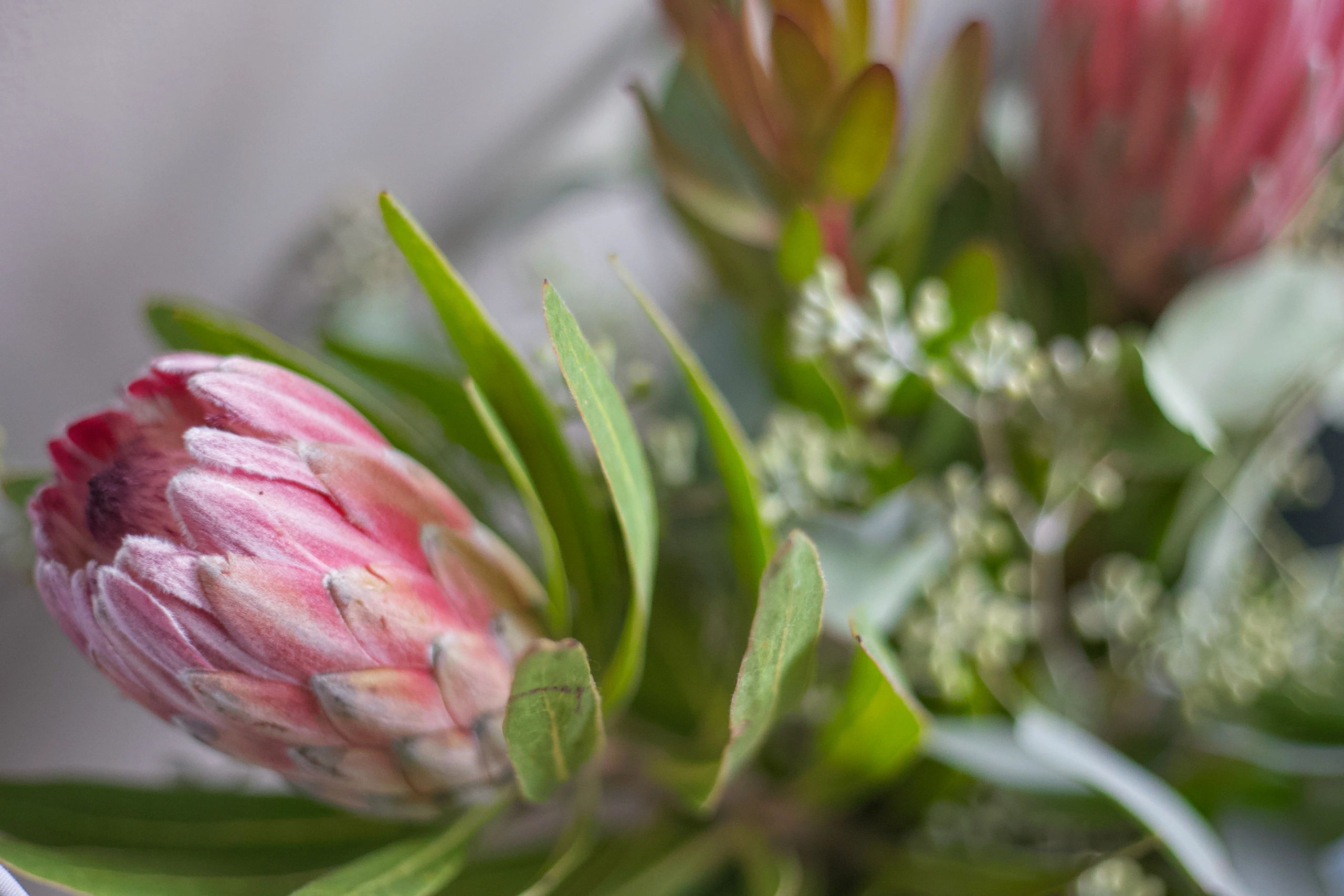Trauma Therapy for Healing and Growth