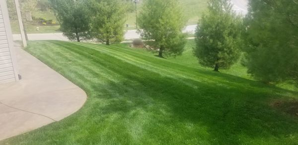 JC Lawn Maintenance, LLC