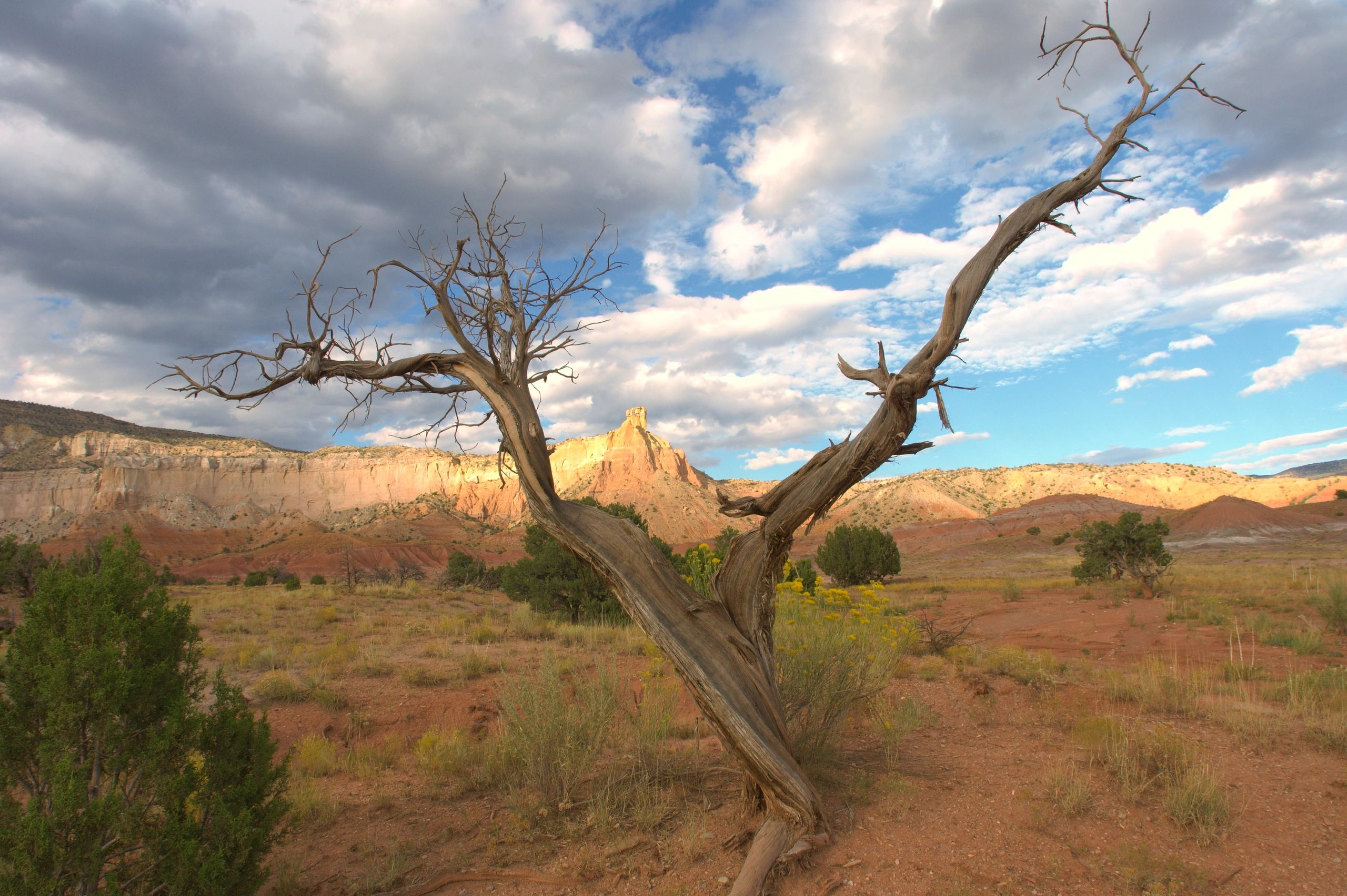 Julie Farias Photography