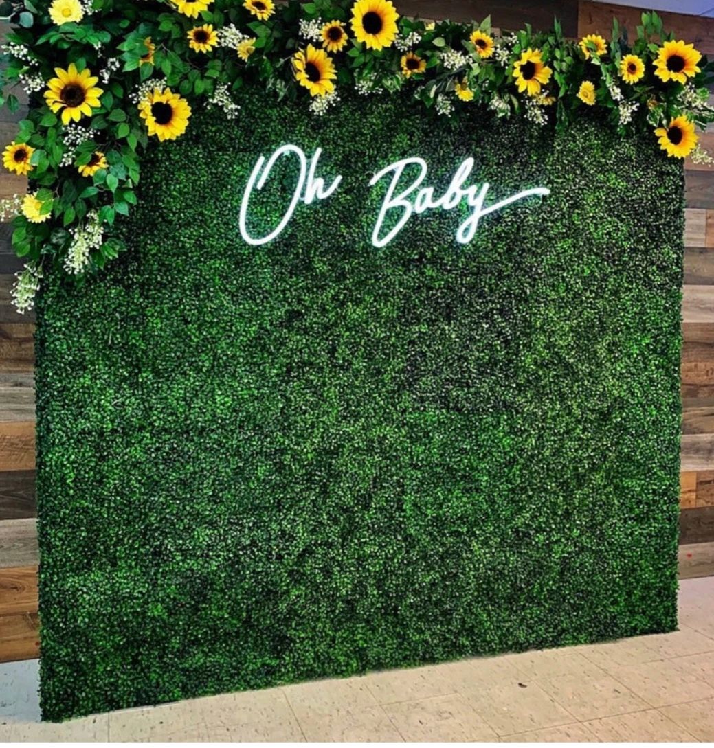 Boxwood Wall Backdrop 8'x8'