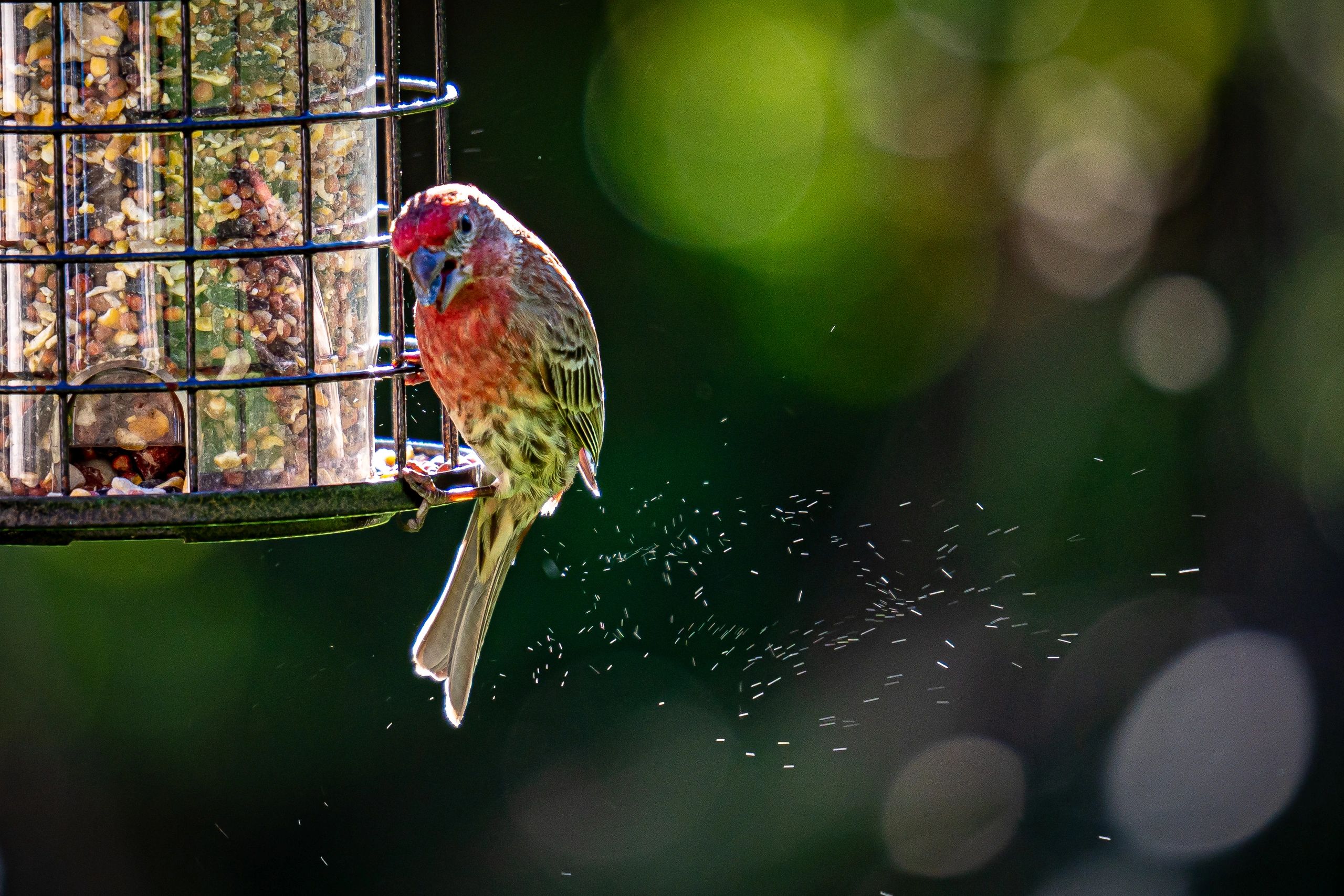 Matt Davis Media - Videography, Video Editing