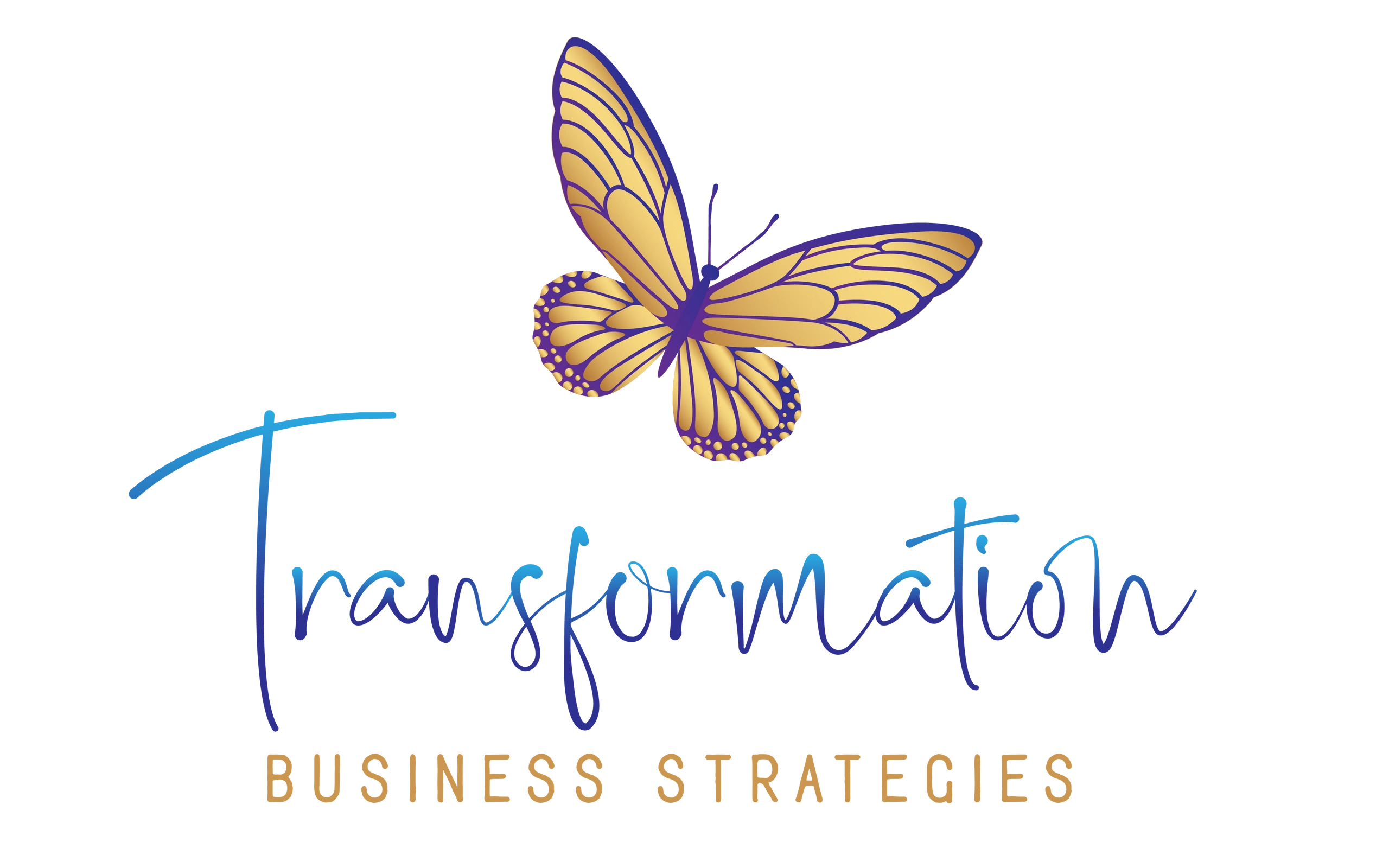 Transformation Business Strategies, LL