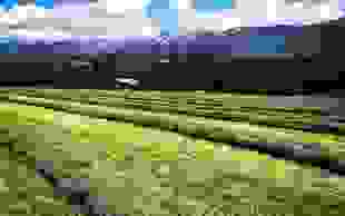 Lantz Farms - Farm - Wasa, British Columbia | Lantz Farms