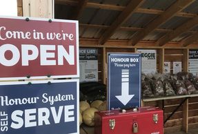 Lantz Farms - Farm - Wasa, British Columbia