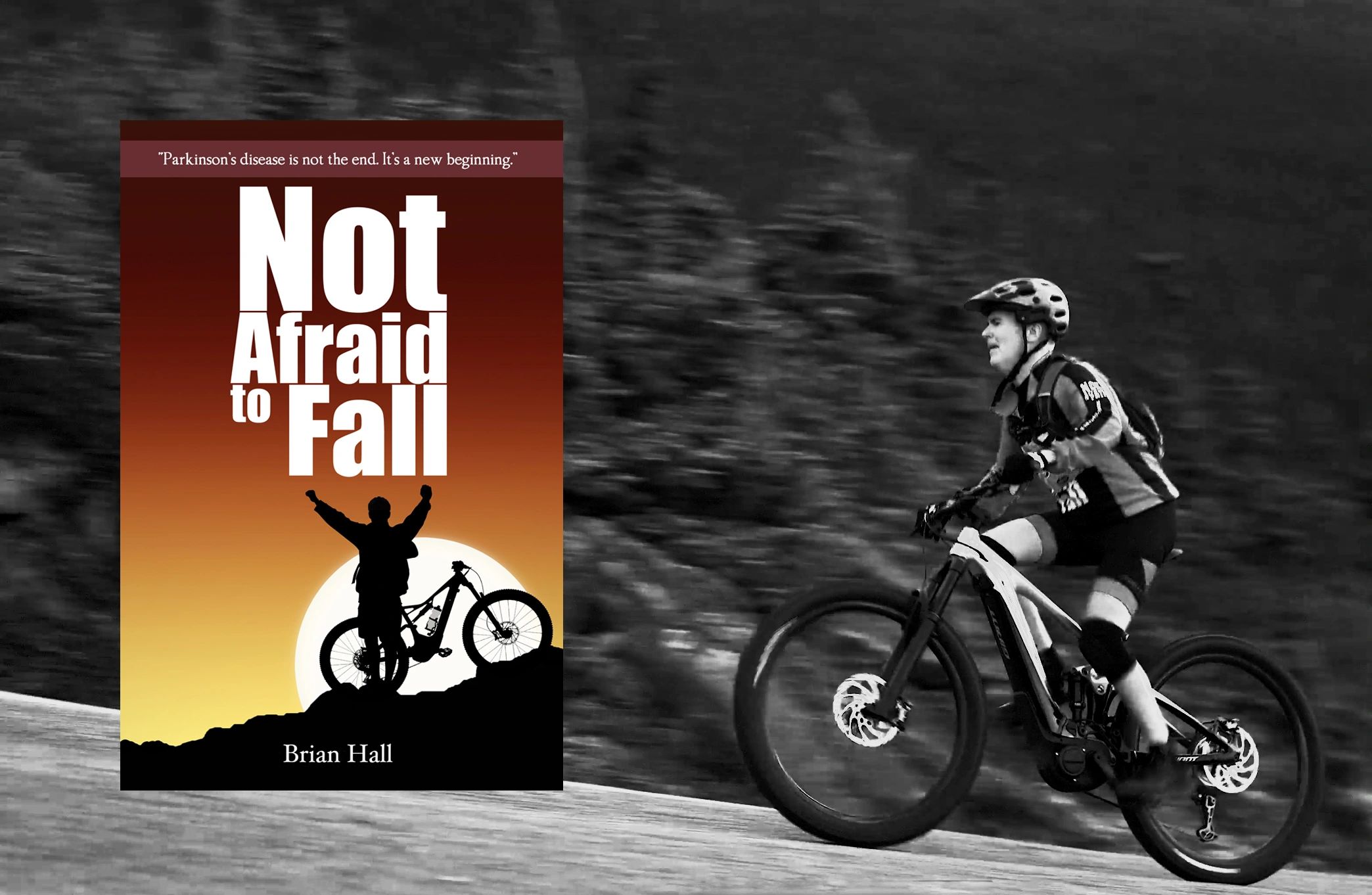 Not Afraid to Fall - About, Inspirational Book