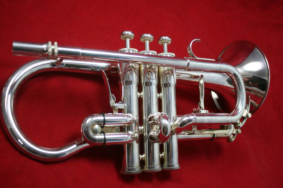 Besson Cornet Models | informacionpublica.svet.gob.gt