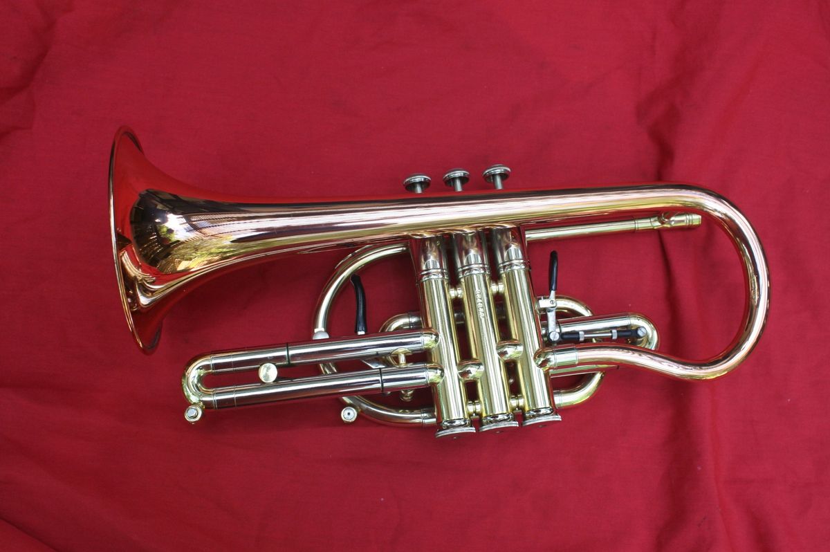 Cornet / Flugel