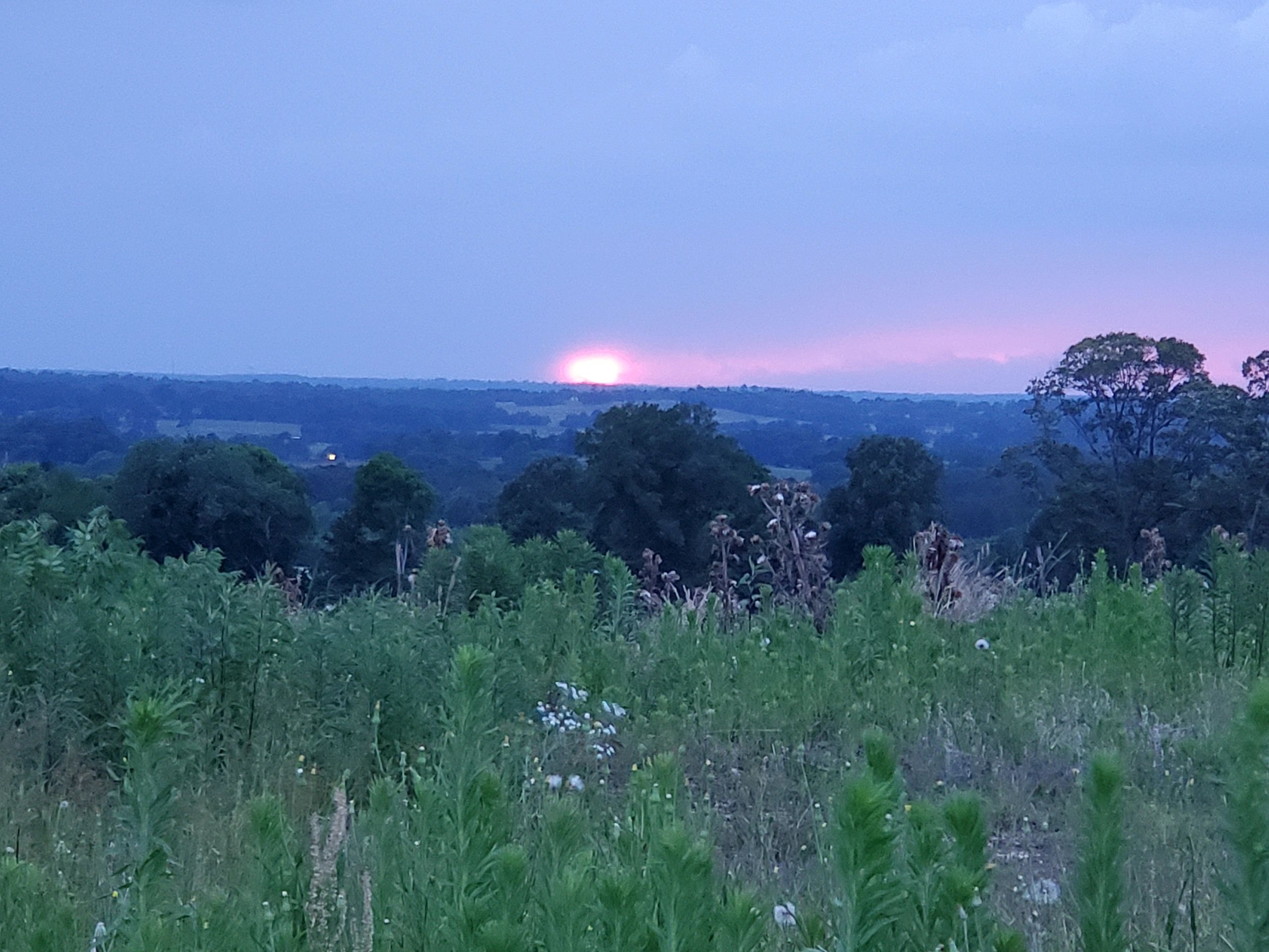 Sunset Springs Ranch