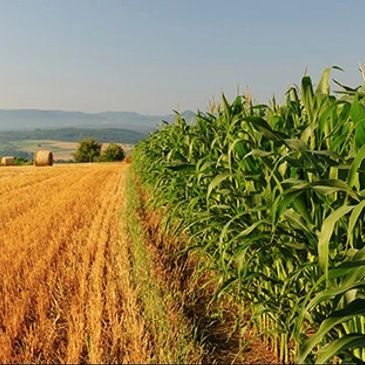 Shield Agri Group Pty Ltd - Home