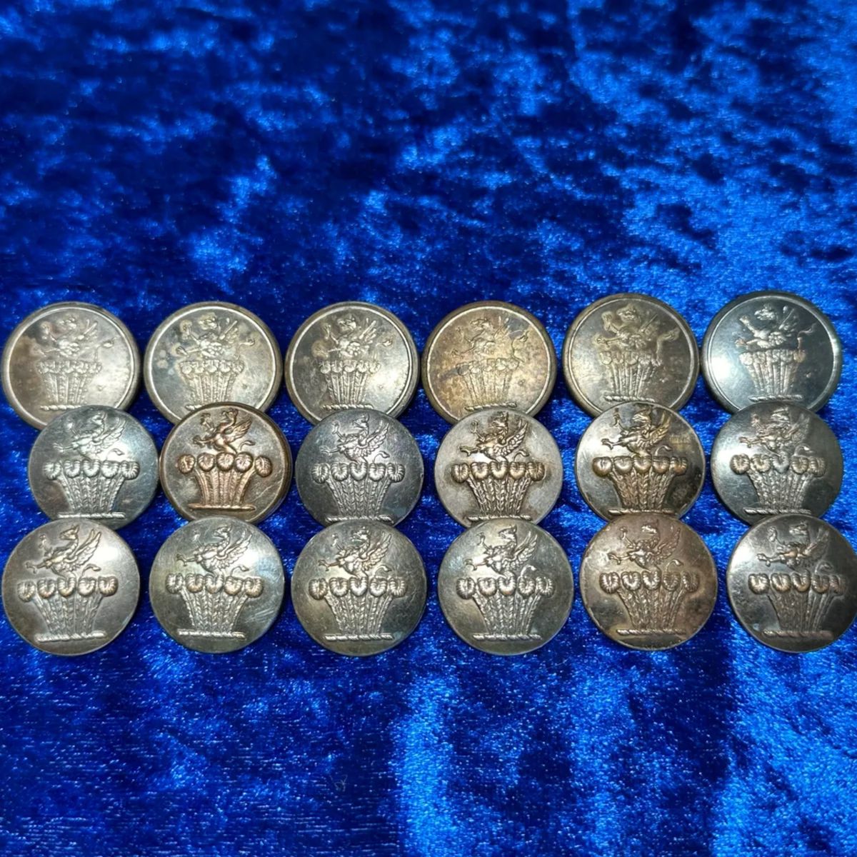 Victorian Livery Yard 18 Buttons with Crown Plume Ostriches Feather ...