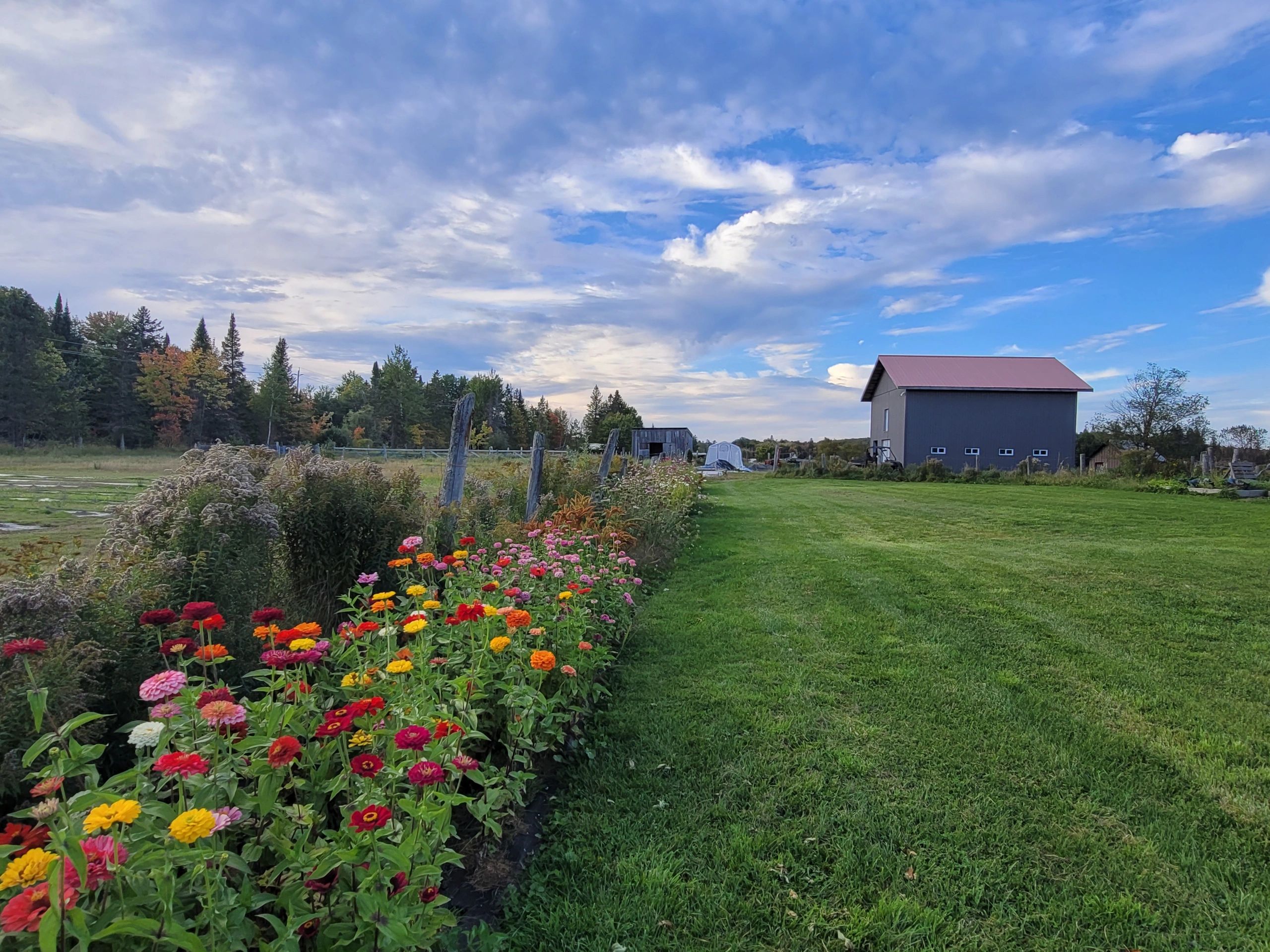 Happy Acres Farm Muskoka
