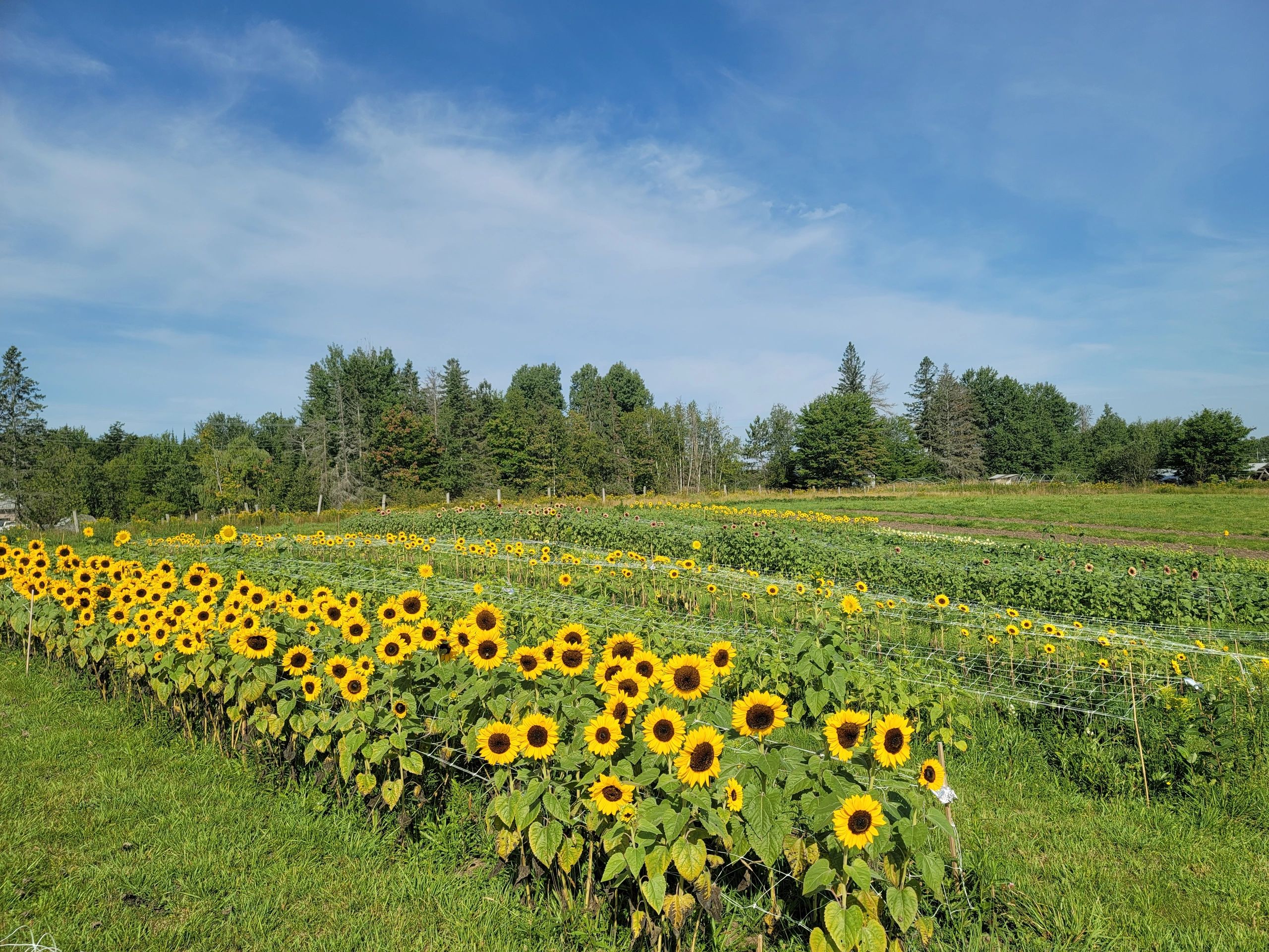 Happy Acres Farm Muskoka