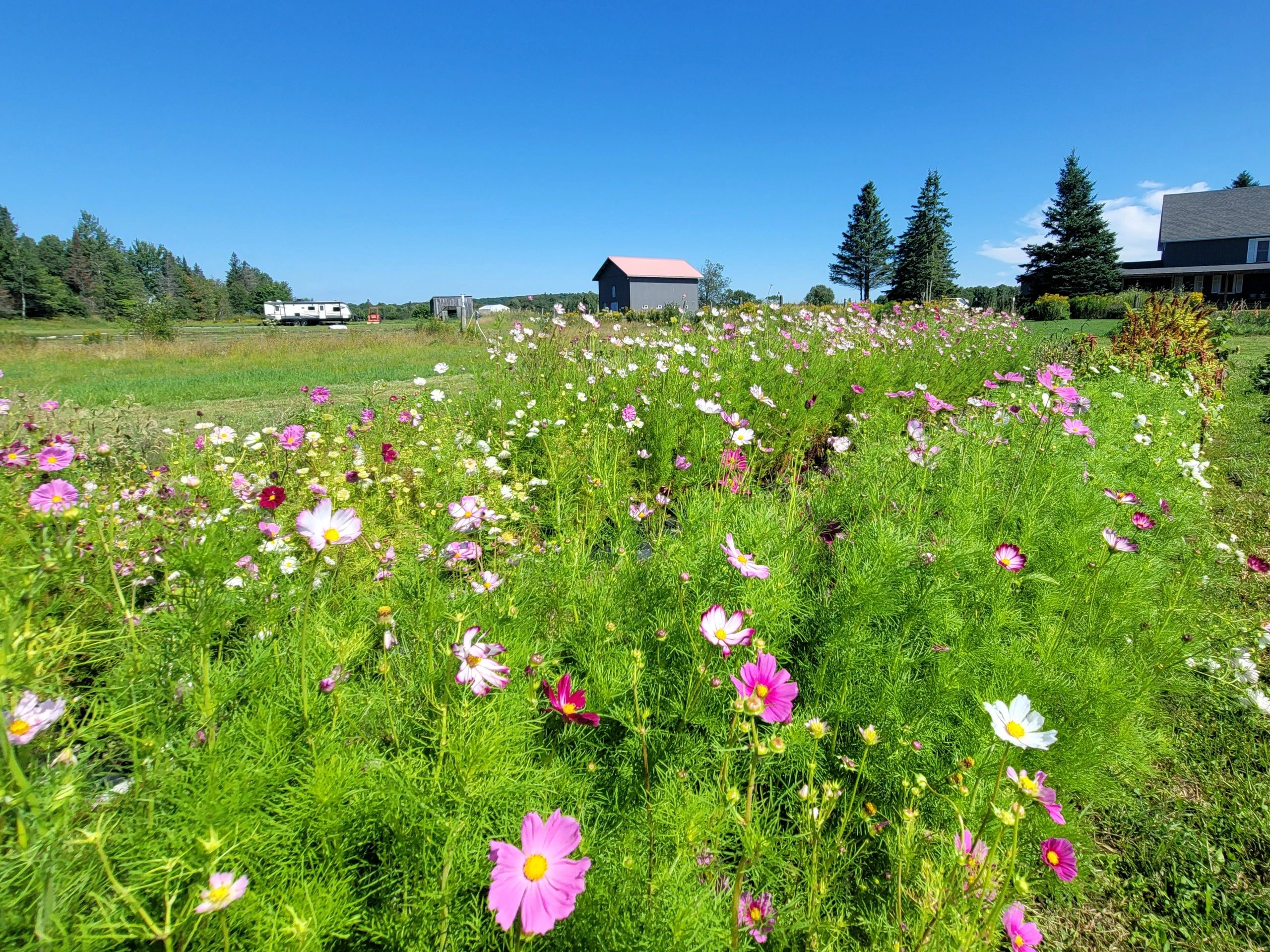 Happy Acres Farm Muskoka