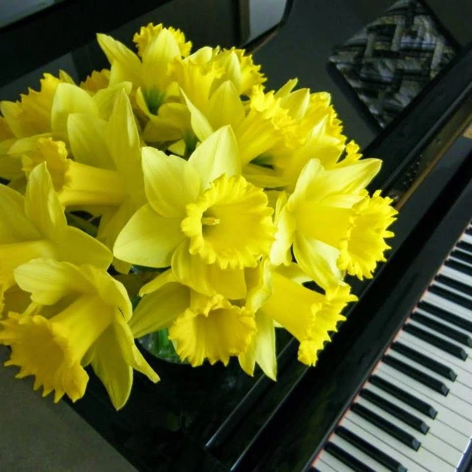 Garin Piano Studio, LLC - Piano Lessons, Voice Lessons