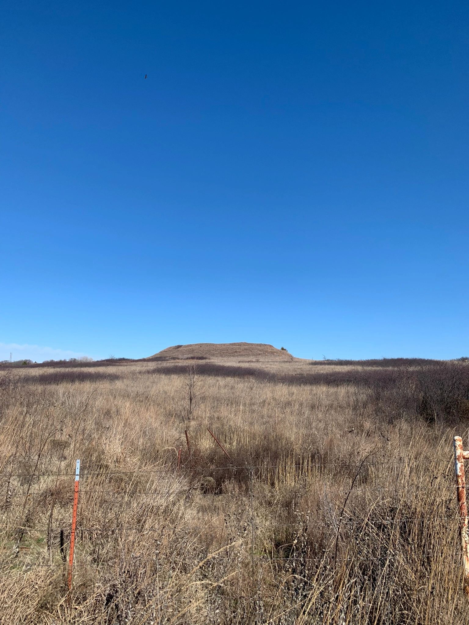 Lots or Land
