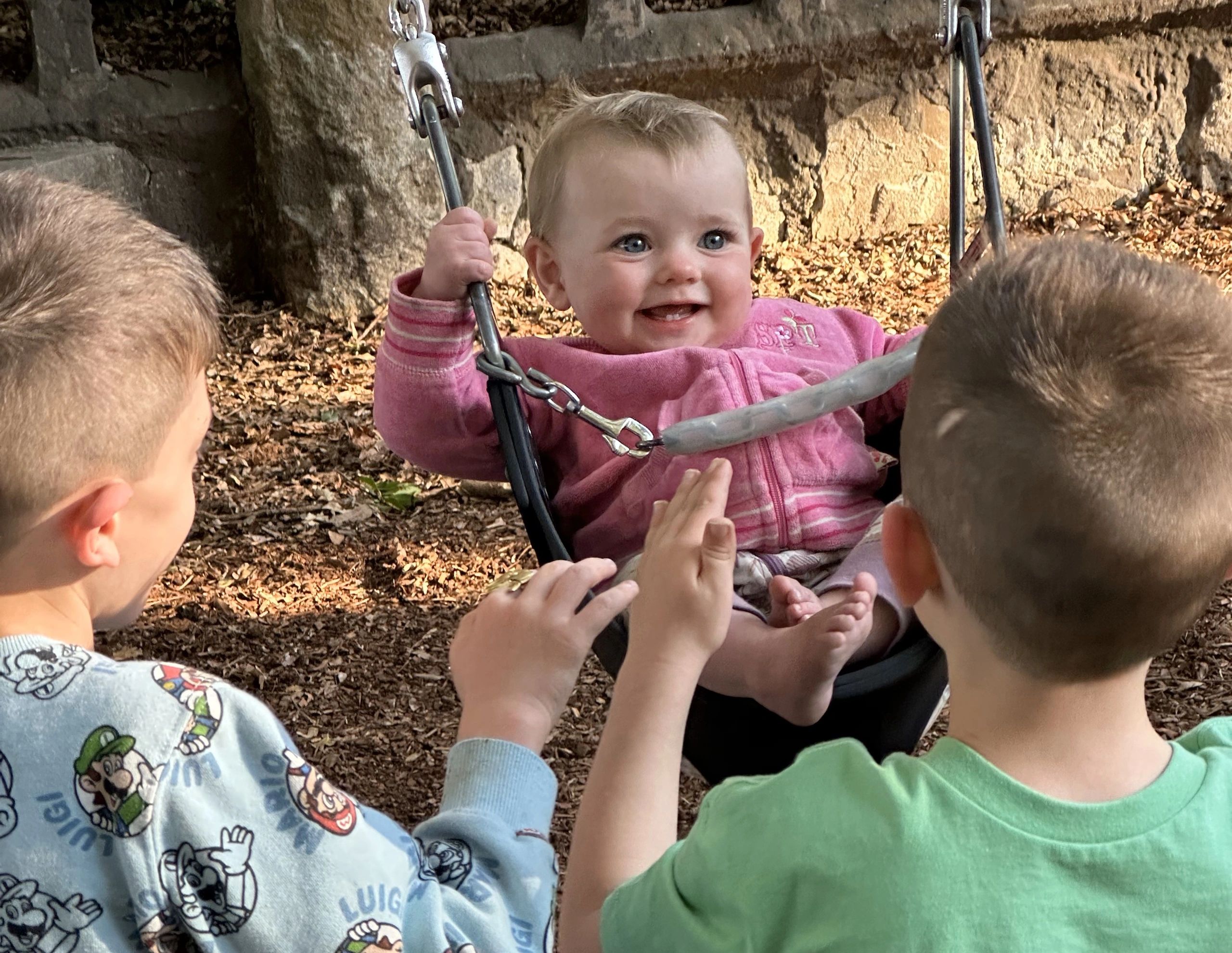 ESDM Training & Support