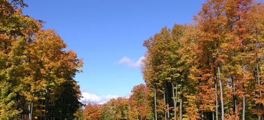 Chestnut Valley Golf Course in Harbor Springs, Michigan