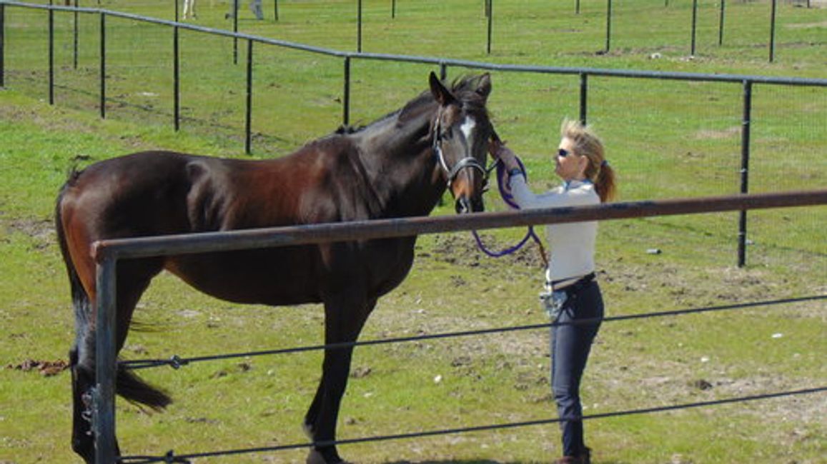 Our Team | Tara Royal Equestrian