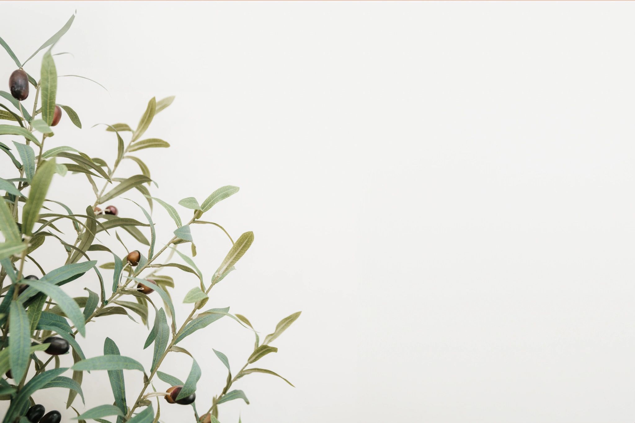 Nurse Aesthetics | Fresh Medical Aesthetics
