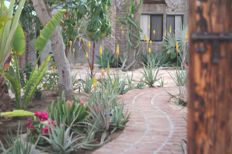 Portfolio | Alexa Newman Architect