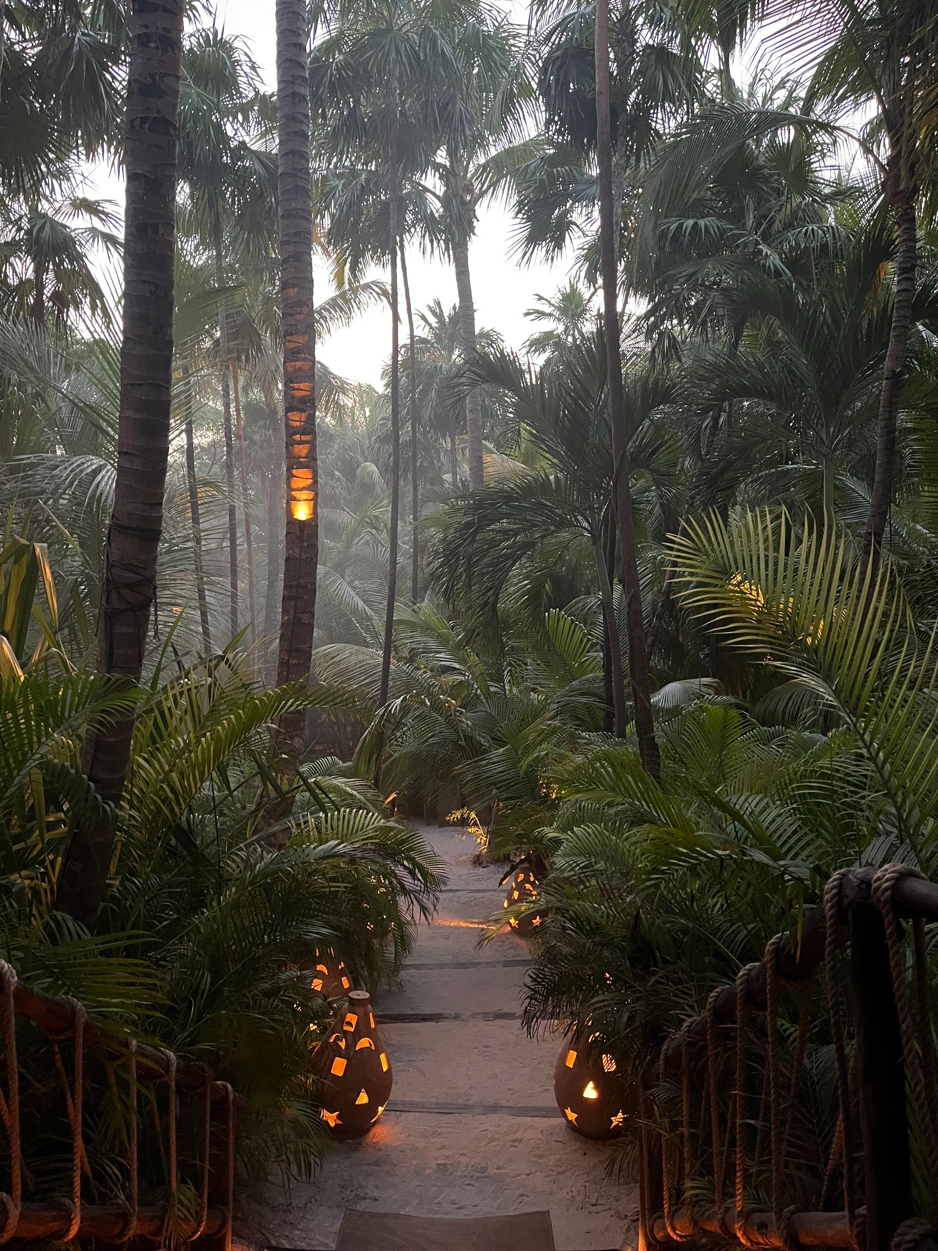 The Heart and Wellness Center - Cardiologist, Wellness