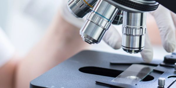 Live Blood Cell Analysis