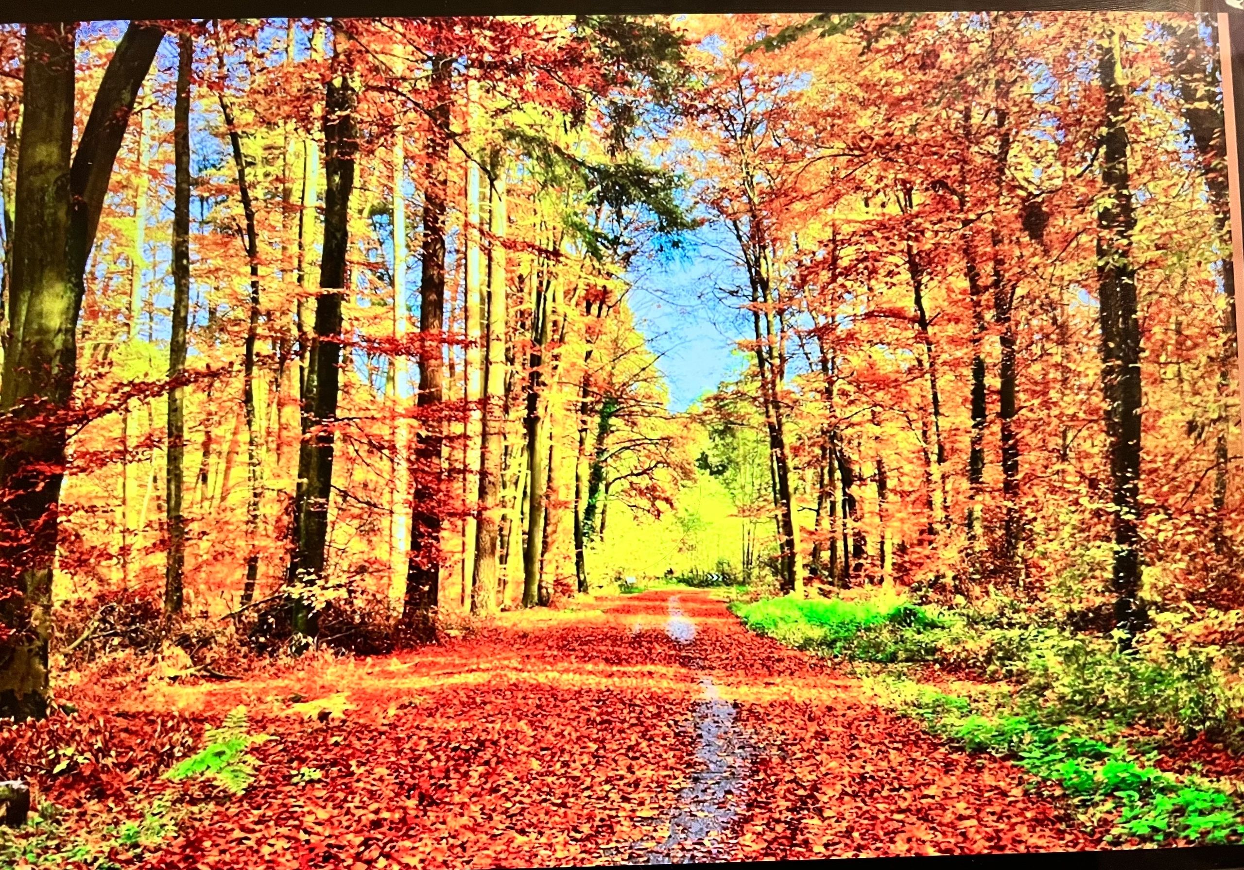 Wellness Options 4 U LLC - Wellness, Therapy