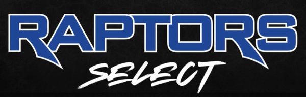 Rochester Raptors Baseball - Tournament Baseball Team