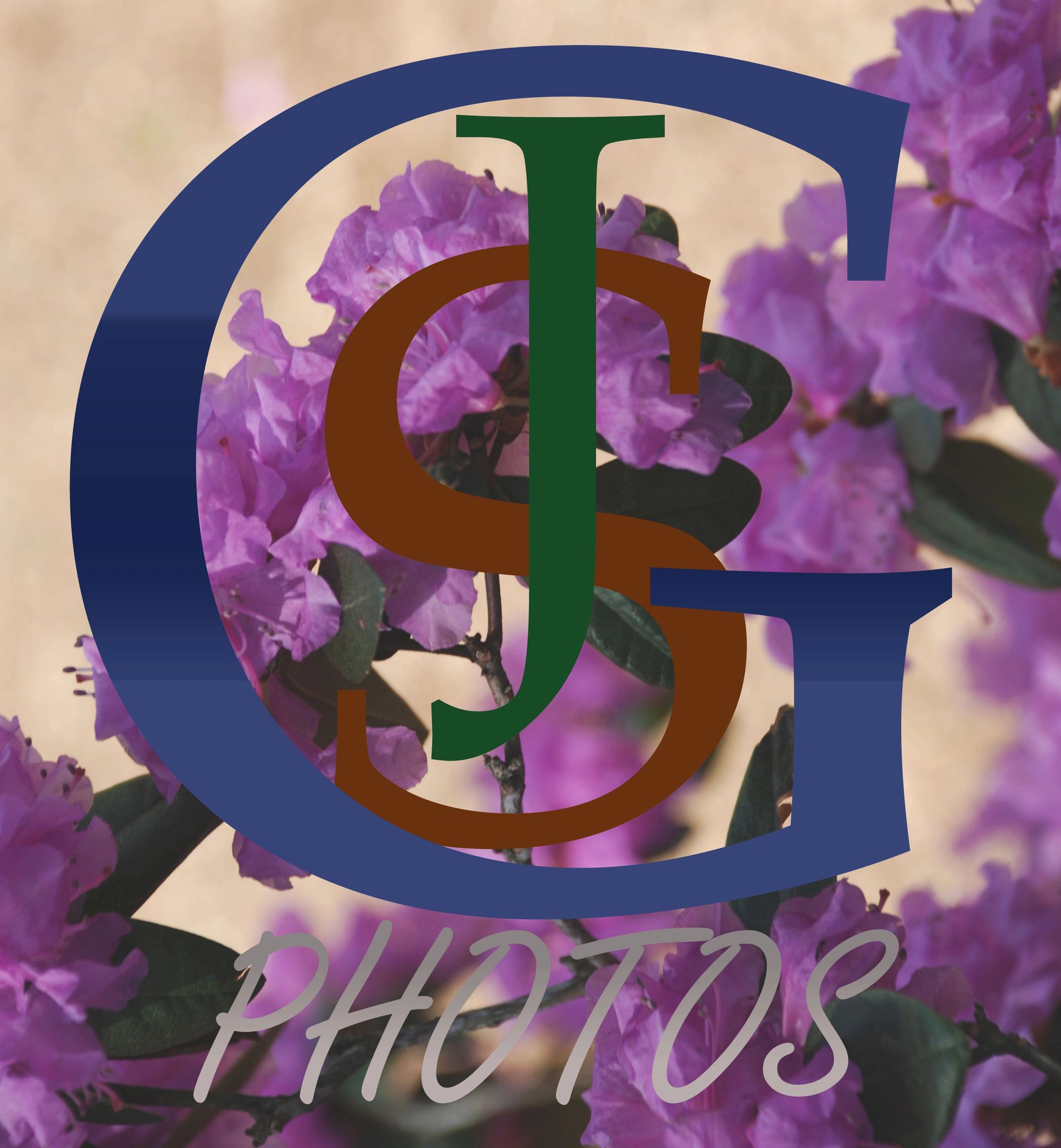 Professional Photographs - SGJ Photo