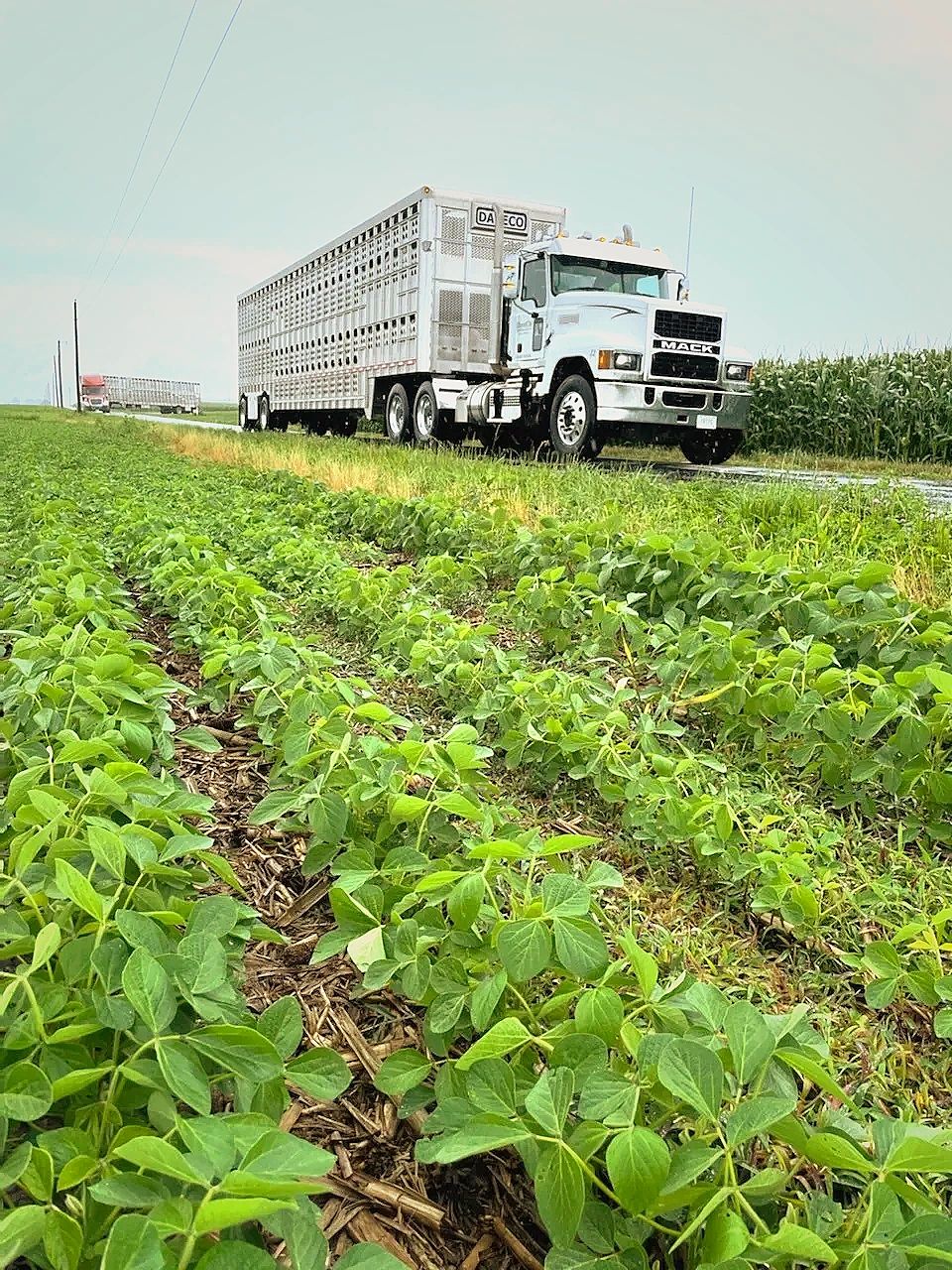 Ferguson Transportation LLC - Home