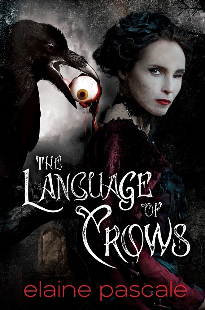 Are You Ready to Learn the Language of Crows?
