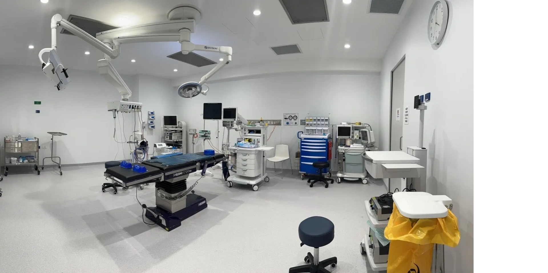 Direct Access Endoscopy