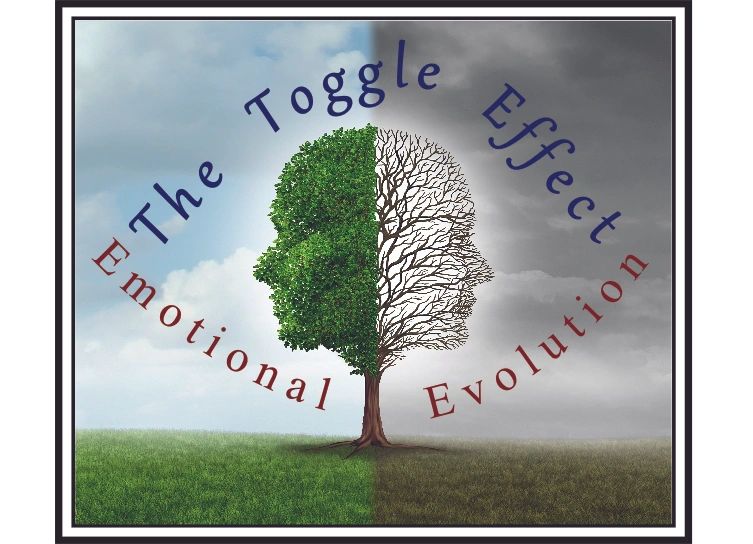 The Toggle Effect Stress and Health Management Program