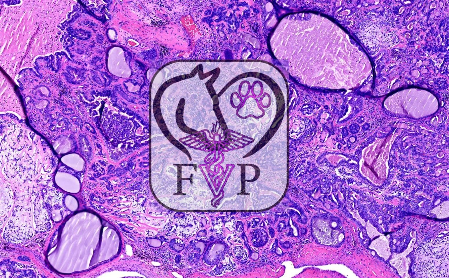 Florida Vet Path, Inc.