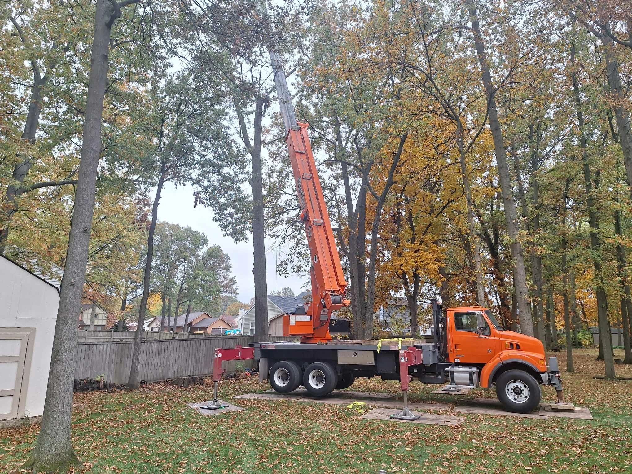 Tree Service, Tree Removal - The 1 Tree Service - Columbus, Ohio