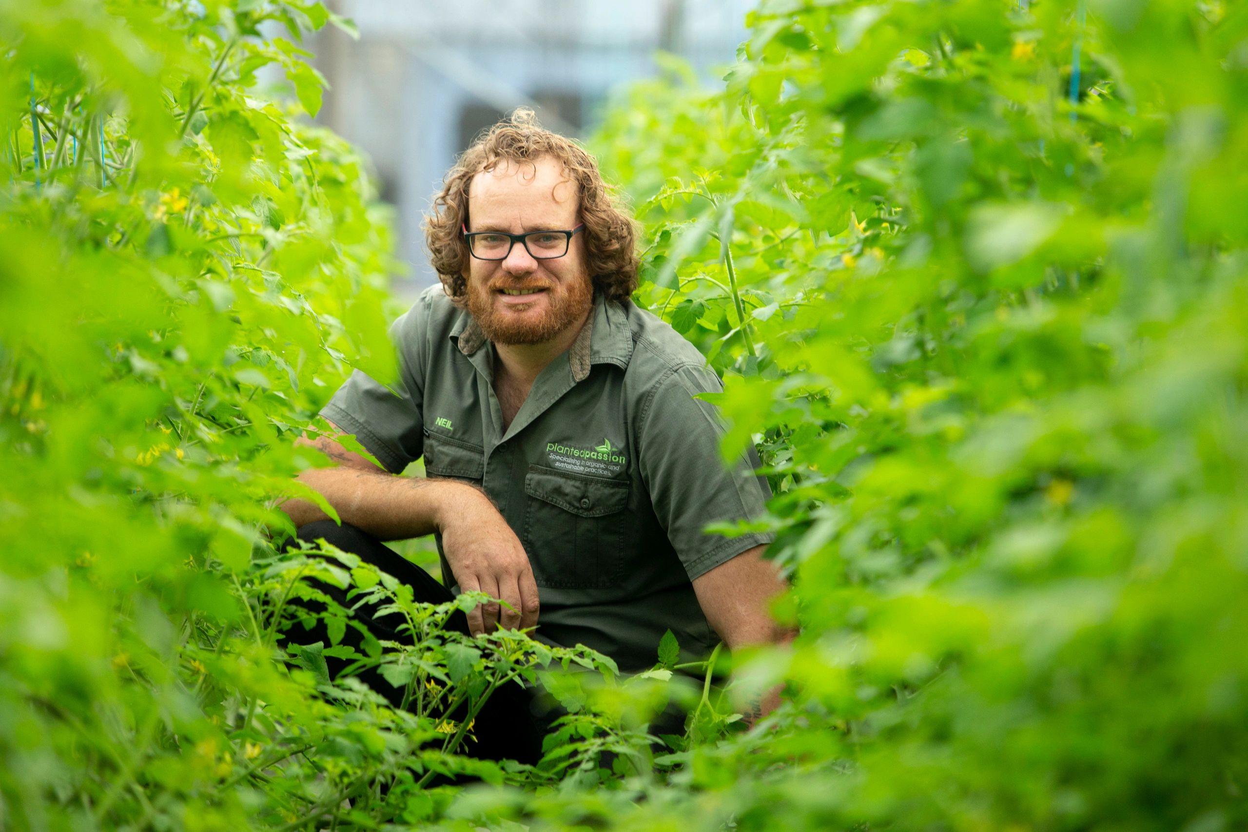 Protected Cropping