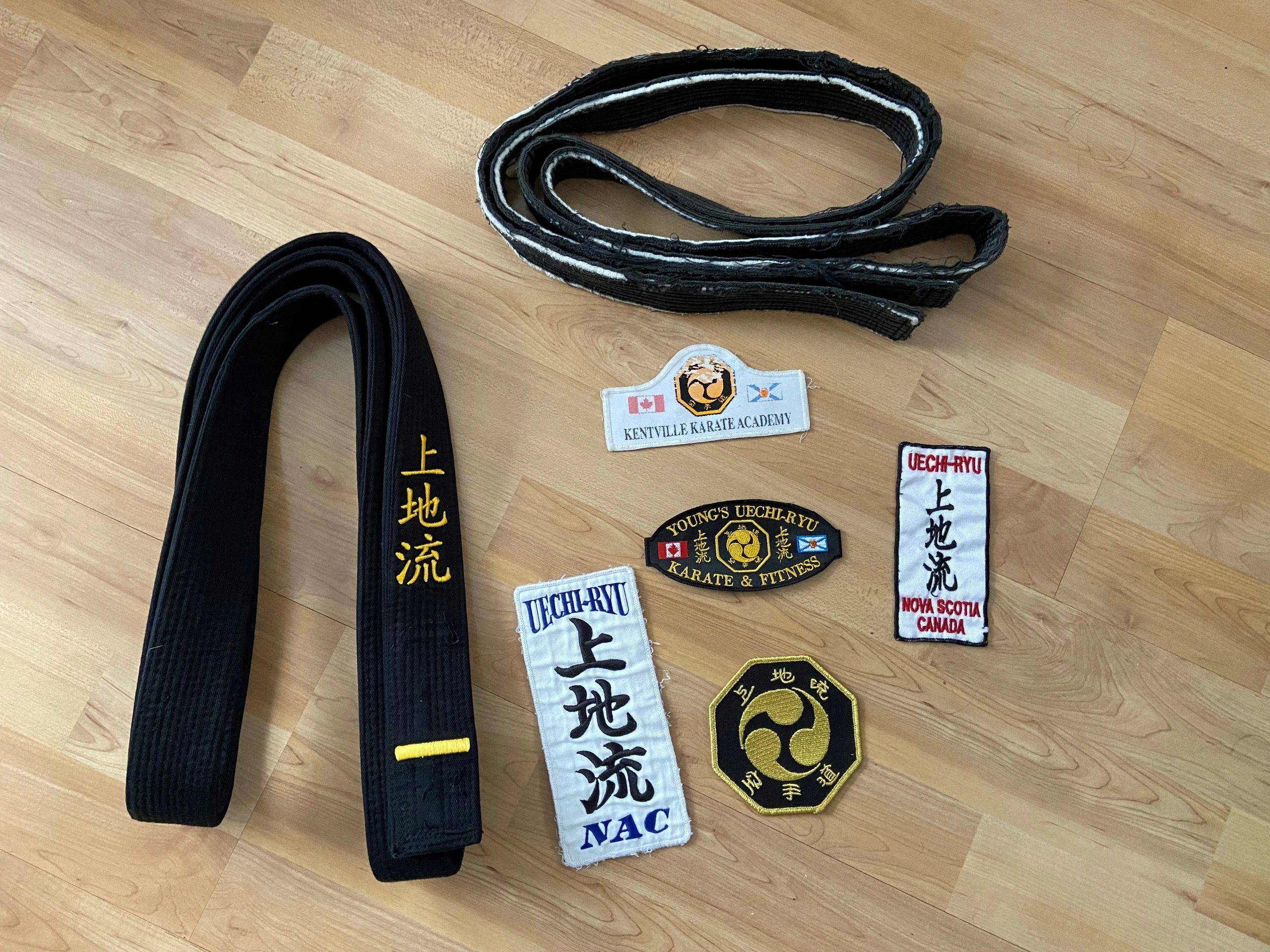 Young’s Uechi-Ryu Karate