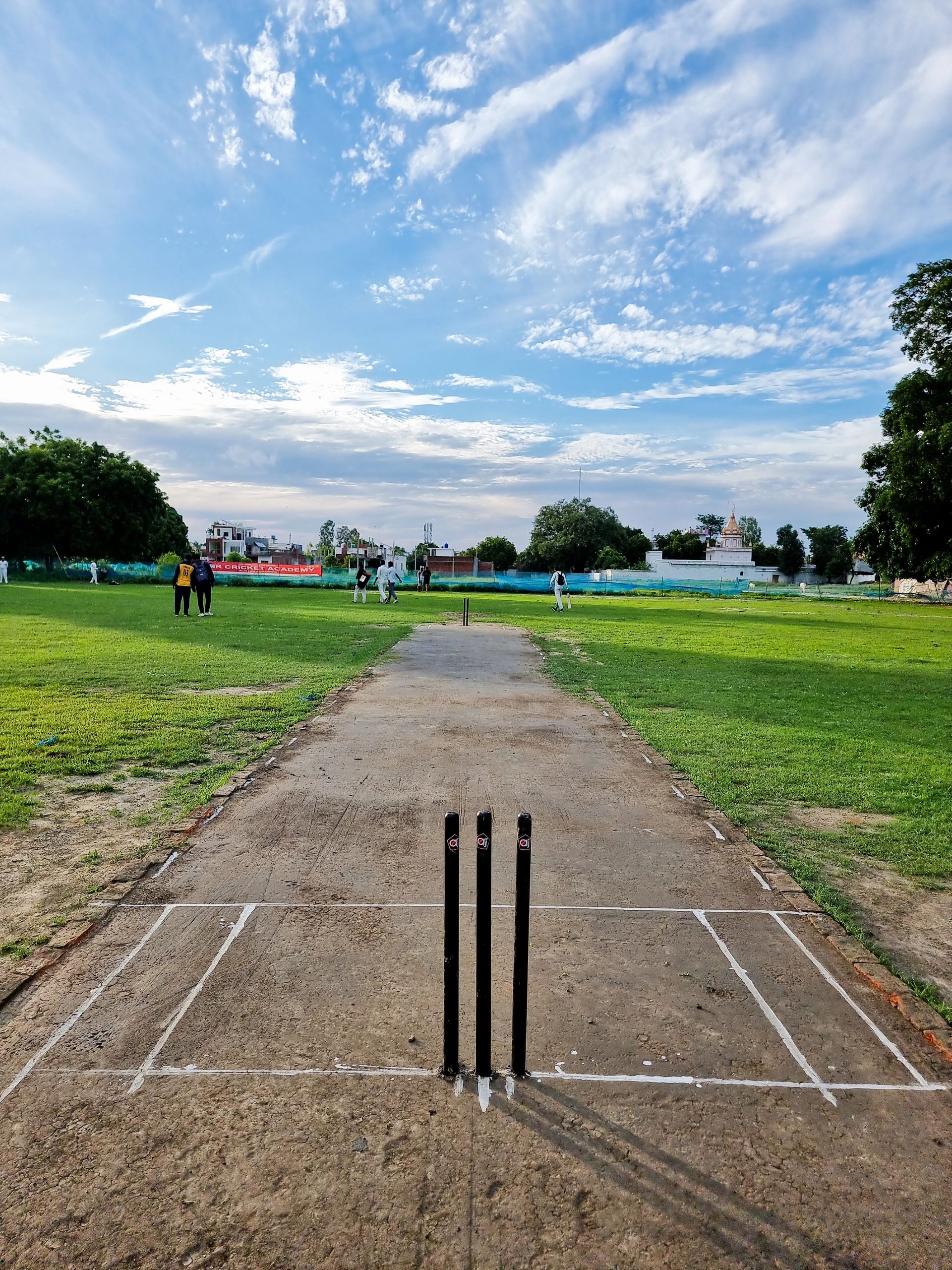 Mastering Cricket: From Basics to Professional Play