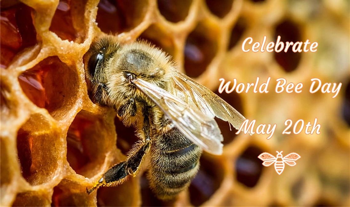 World Bee Day