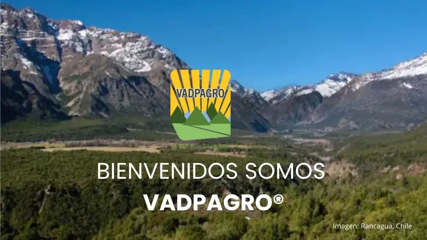 Programa Partidura Cerezo | Vadpagro