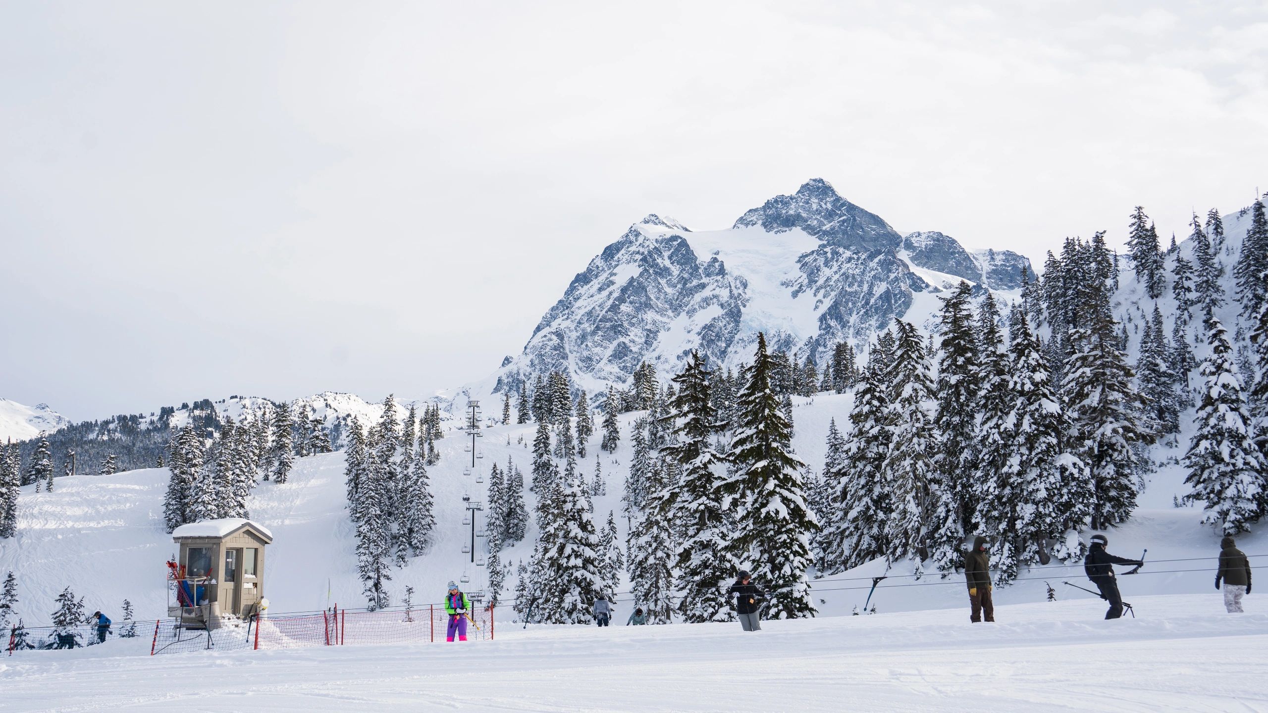 Mt. Baker Volunteer Association