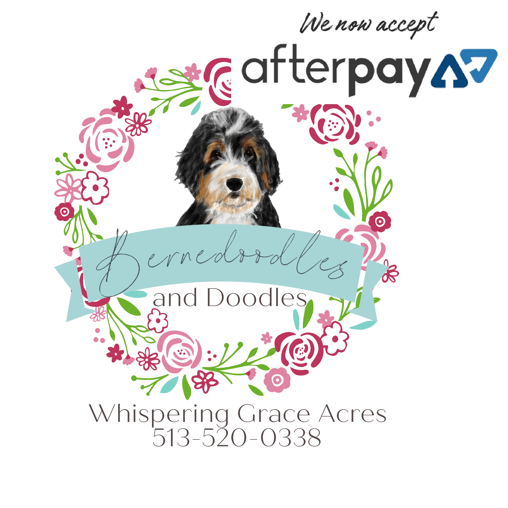 Bernedoodle Puppies - Doodles by Whispering Grace Acres