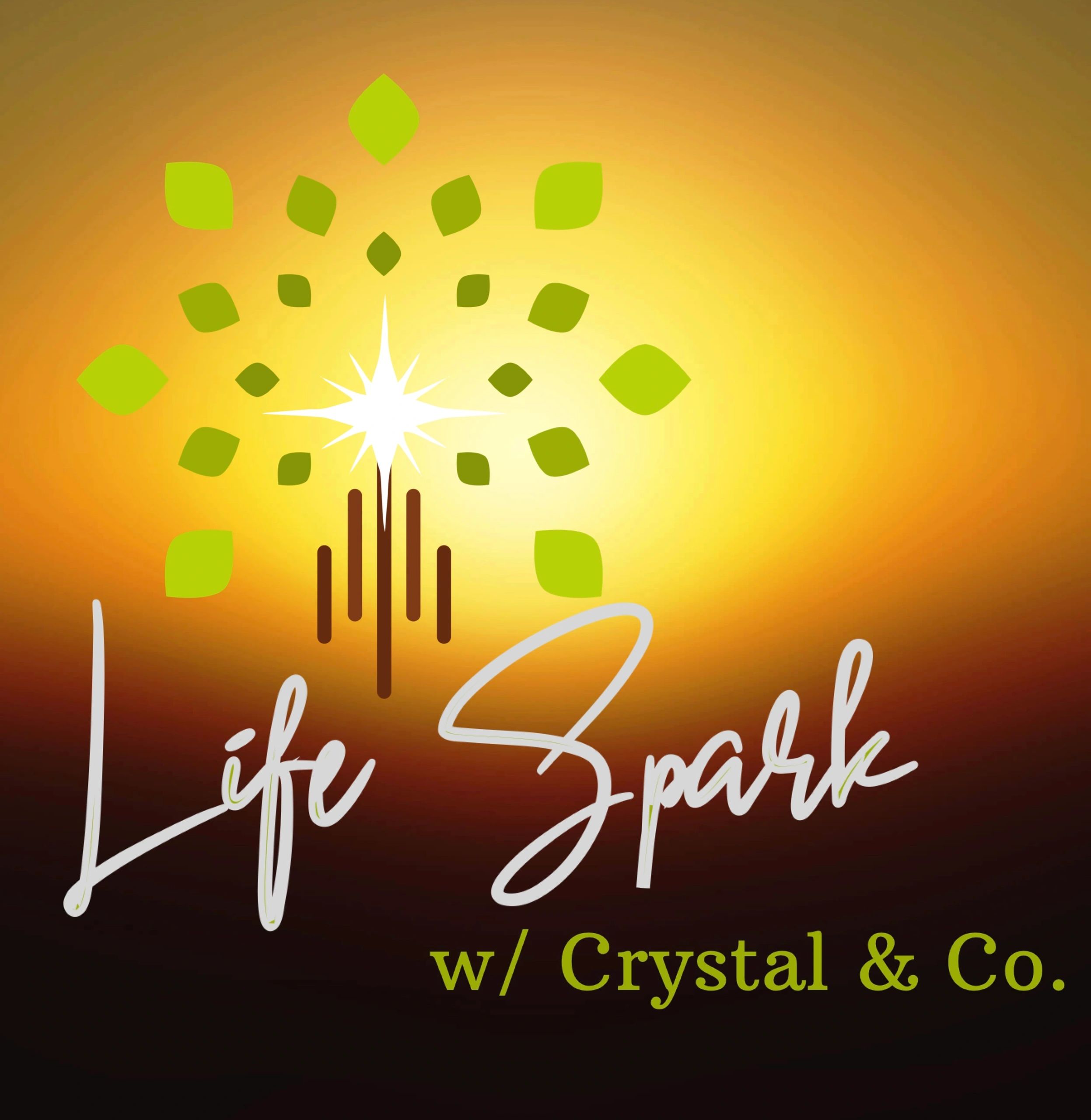 LifeSparkConfidence