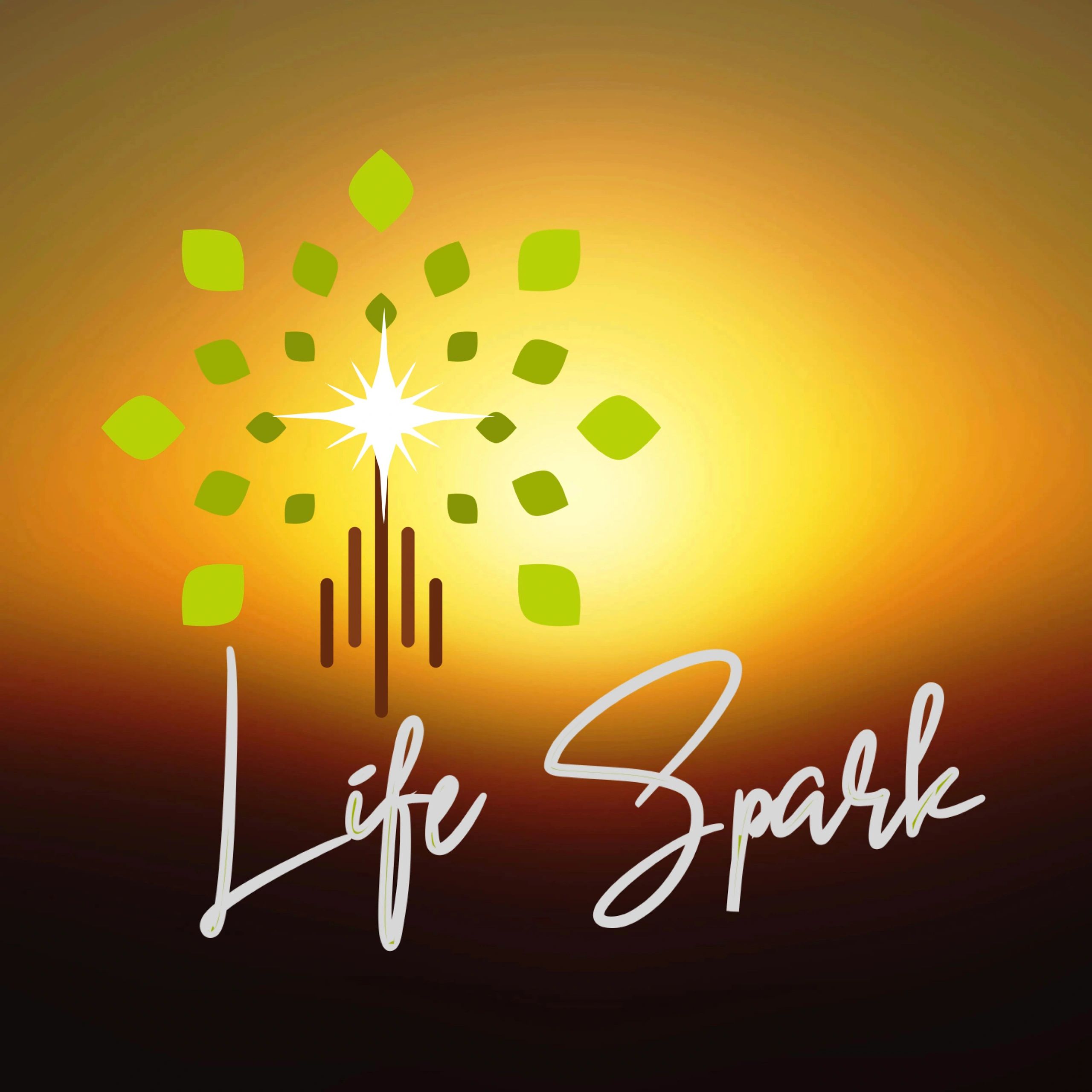 LifeSPARK