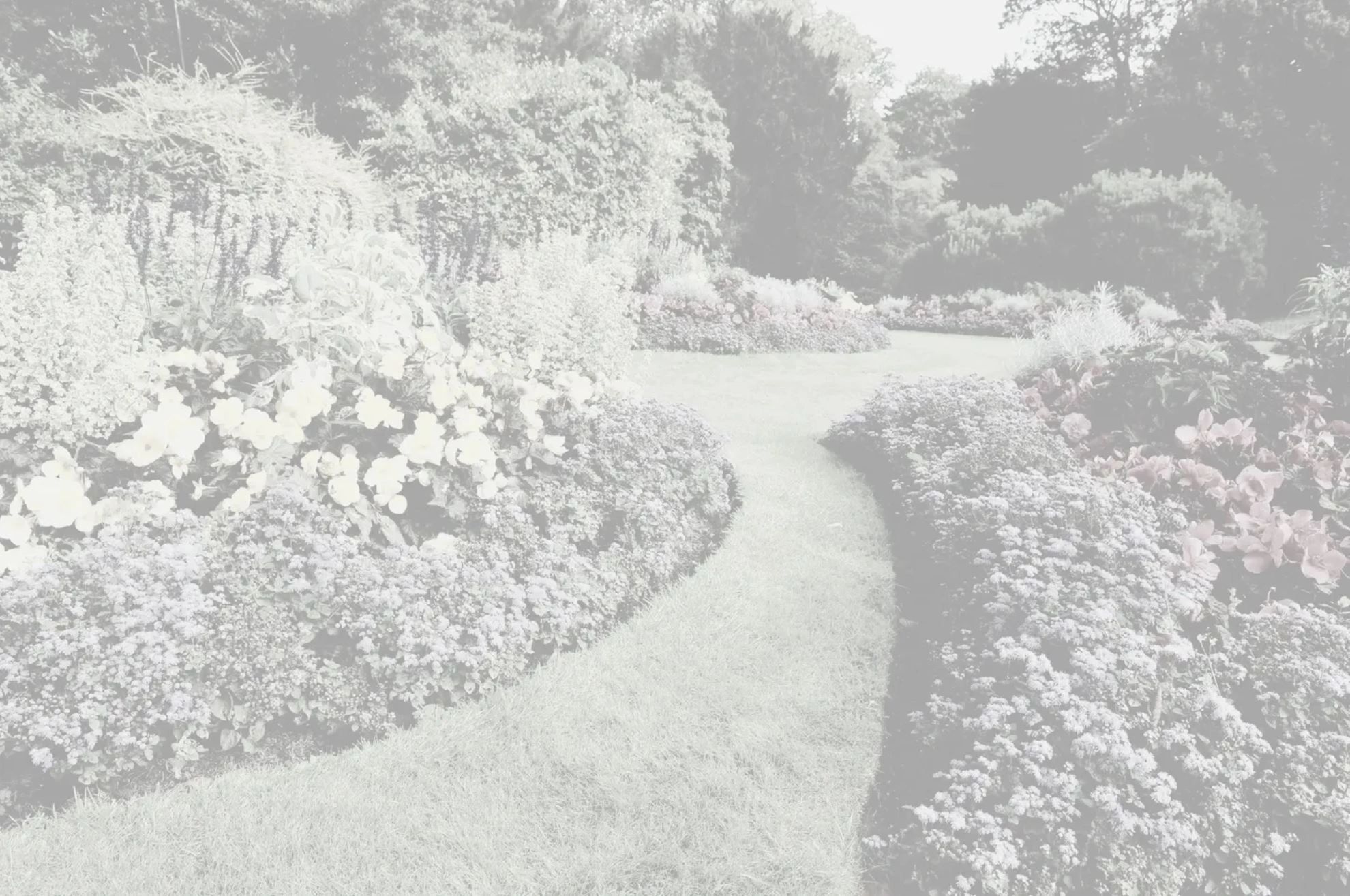 Tranquility Landscape & Design