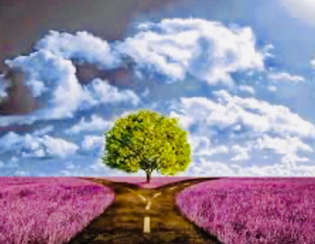 Guided Paths - Nonprofit, Youth Services