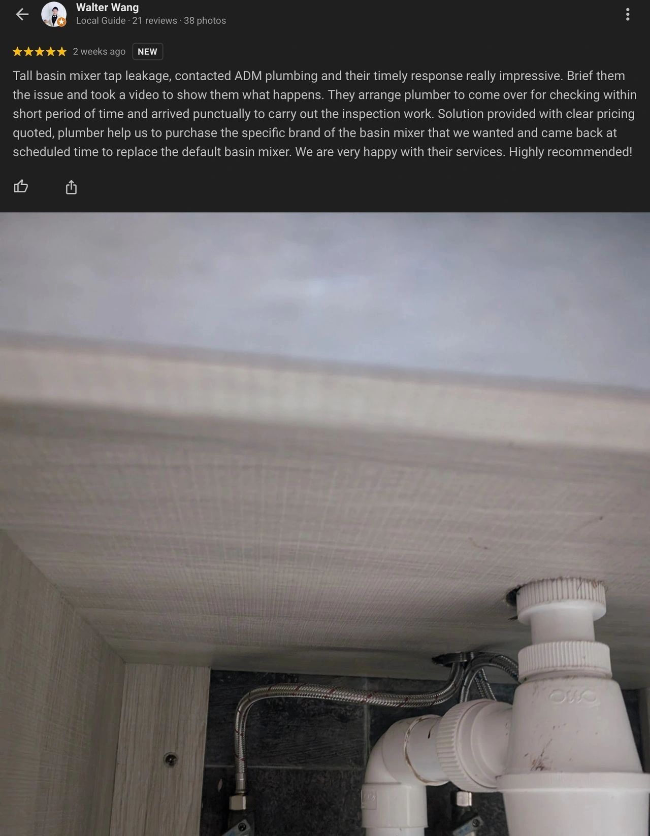 Geberit Flush System Repair Experts in Singapore